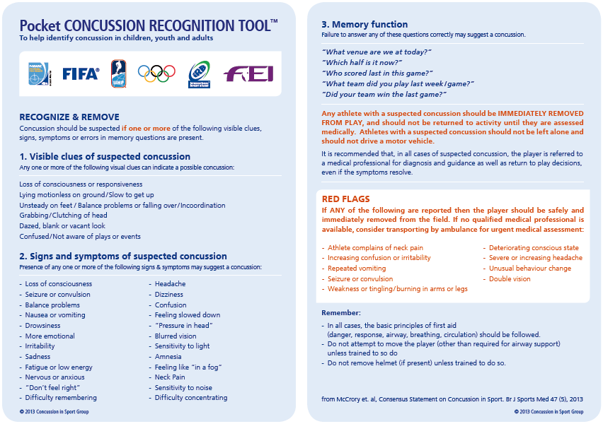 Physiotherapy’s role in the assessment and treatment of concussion in ...